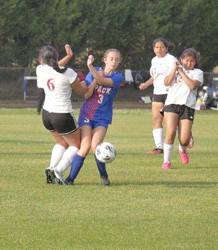 Gators women’s soccer unbeaten streak continues, Pack wins twice ...