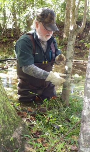 County beaver bounty program ahead of last year | News | nrcolumbus.com