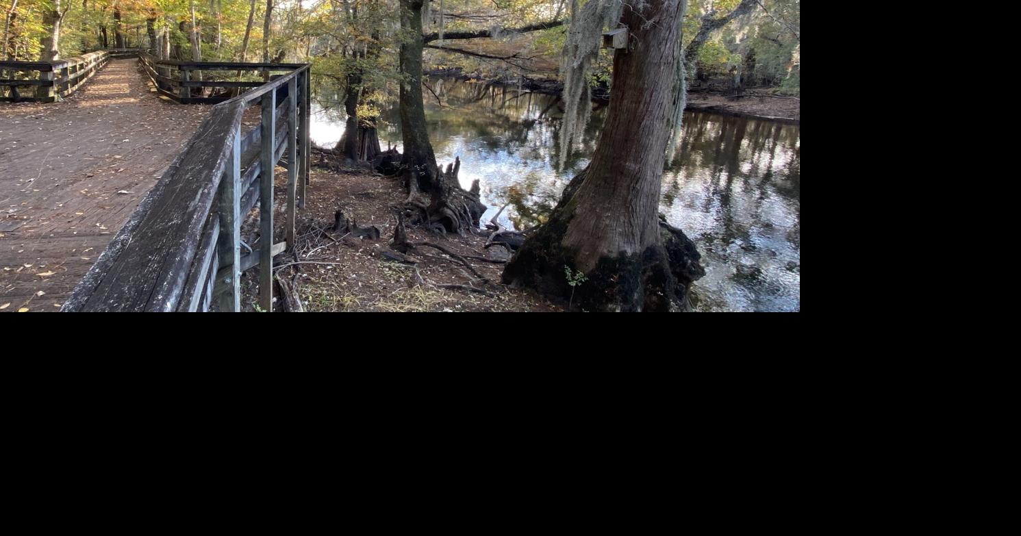 Jones’ bill would base Lumber River State Park in Fair Bluff | News ...