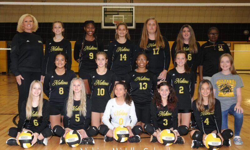 Nakina to host Middle School Volleyball Monday-Wednesday | Sports ...