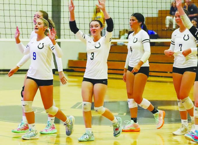Stallions volleyball mixes grit and talent in challenging season ...