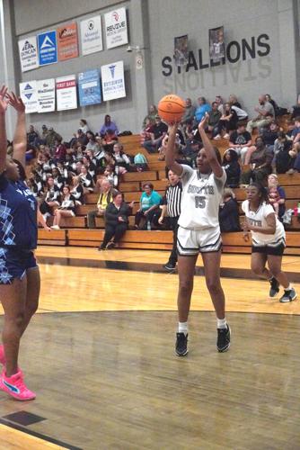 Court capsules: Stallions sweep Thursday, Gators swamp Friday | Sports ...