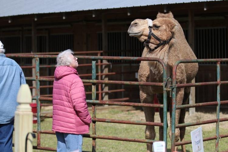 Southern Farm Days continues 11 year tradition | News | nrcolumbus.com