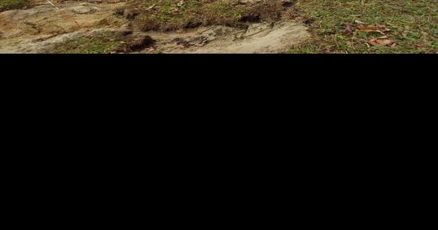 Lakeshore Drive closed due to roadway collapse | News | nrcolumbus.com