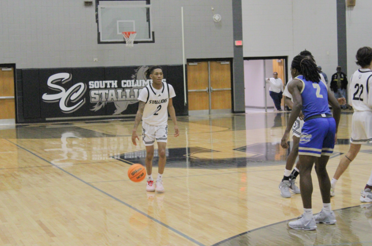 Stallions look to improve on early season start | Sports | nrcolumbus.com