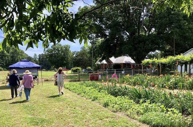 Rental getaway welcomes visitors to working family farm in Whiteville ...