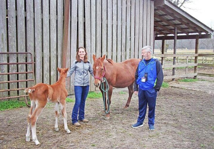UPDATED: Boys Homes CEO dies in house fire at Lake | News | nrcolumbus.com