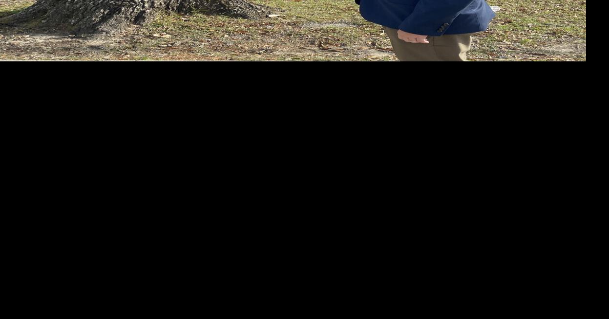 ‘Too far gone’ – safety might force removal of aging trees in front of ...