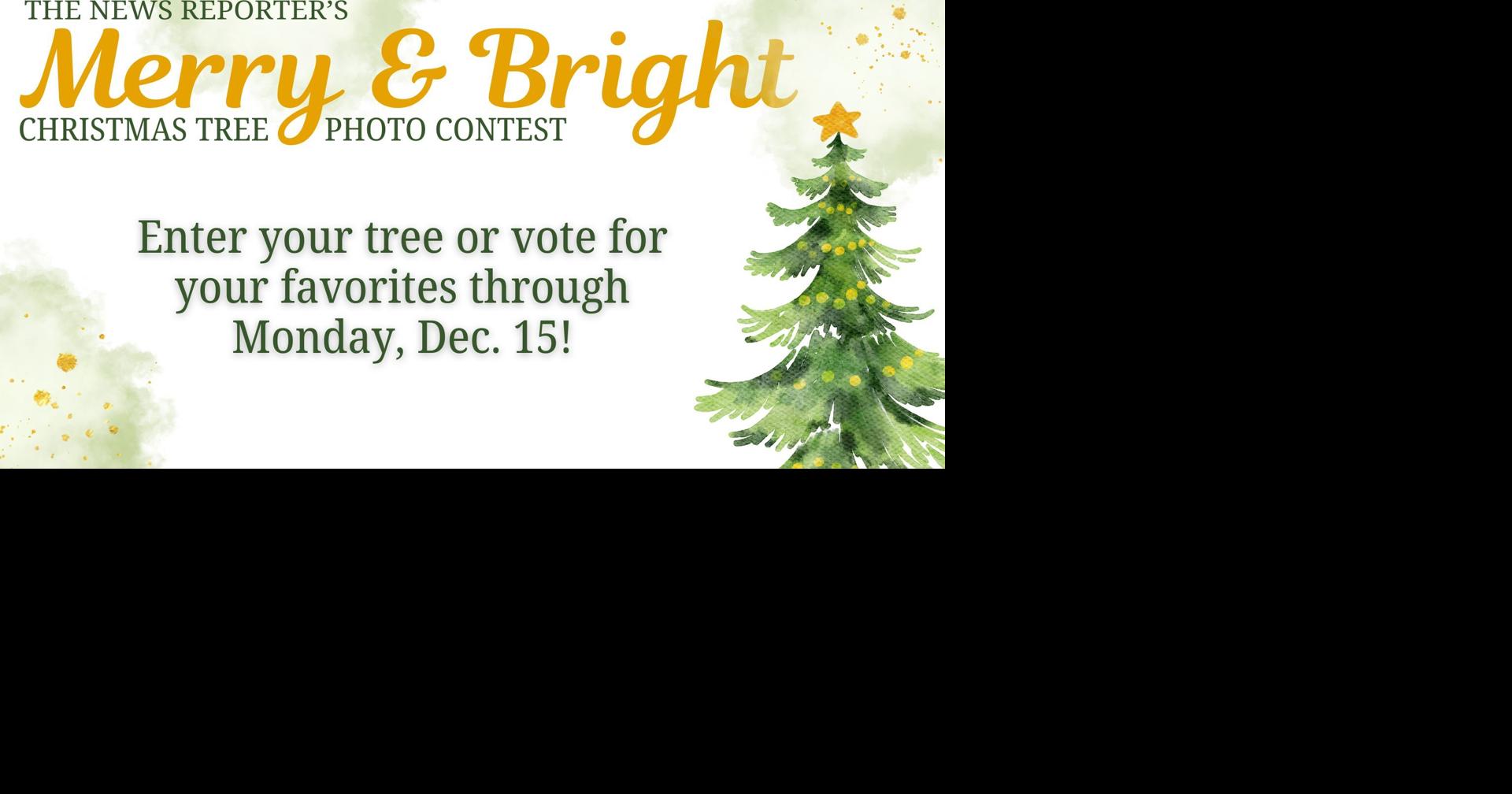 Enter or vote in the Merry & Bright: Christmas Tree Contest | Contests ...