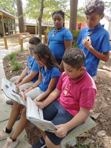 ‘A work of love:’ Community builds children’s library at Lake museum ...