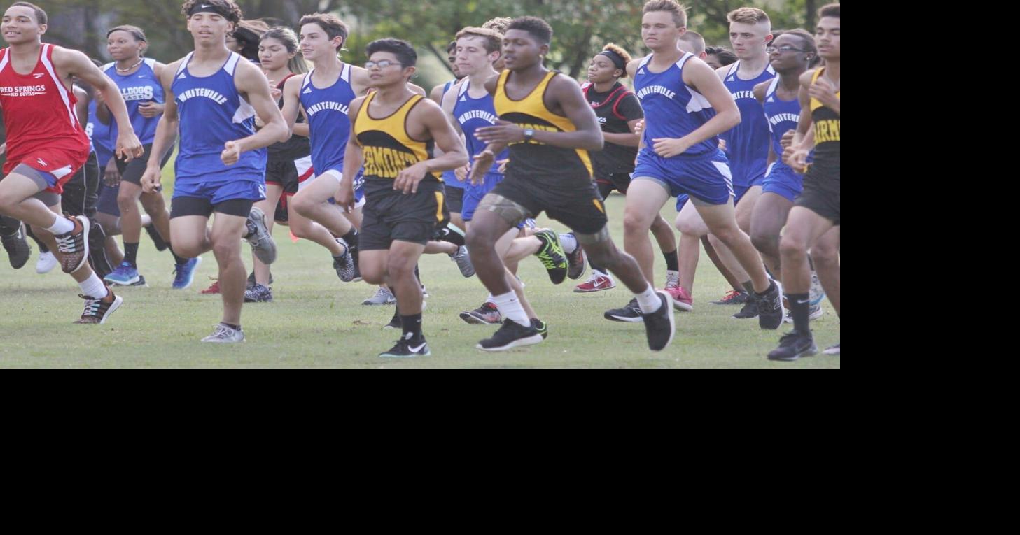 Five in top 10 not enough for Wolfpack Cross Country | Sports ...