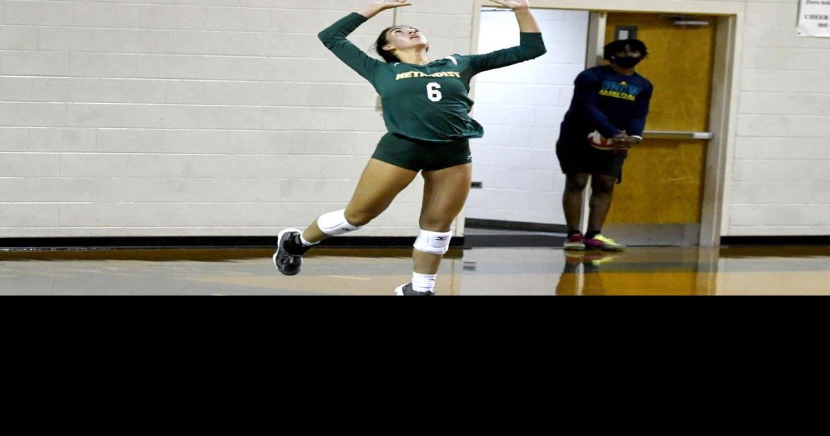 Hannah Hewett earns volleyball honor | Sports | nrcolumbus.com