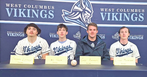 Hammonds sets new standard for West Columbus baseball | Sports ...