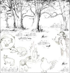 The adventures of Paula the Super Possum: All for one, and one for all ...