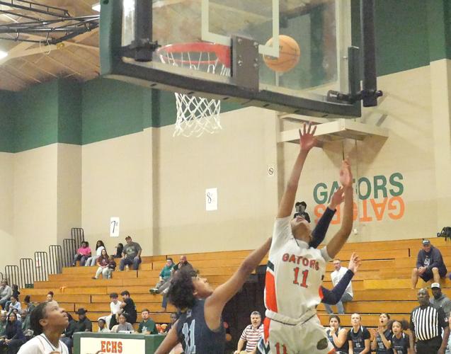 Hoops Scoop: Gators and Stallions men suffer Monday defeats in final ...