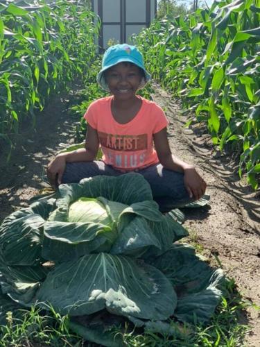 Riegelwood girl’s giant cabbage leads to book, Oprah shoutout | News ...