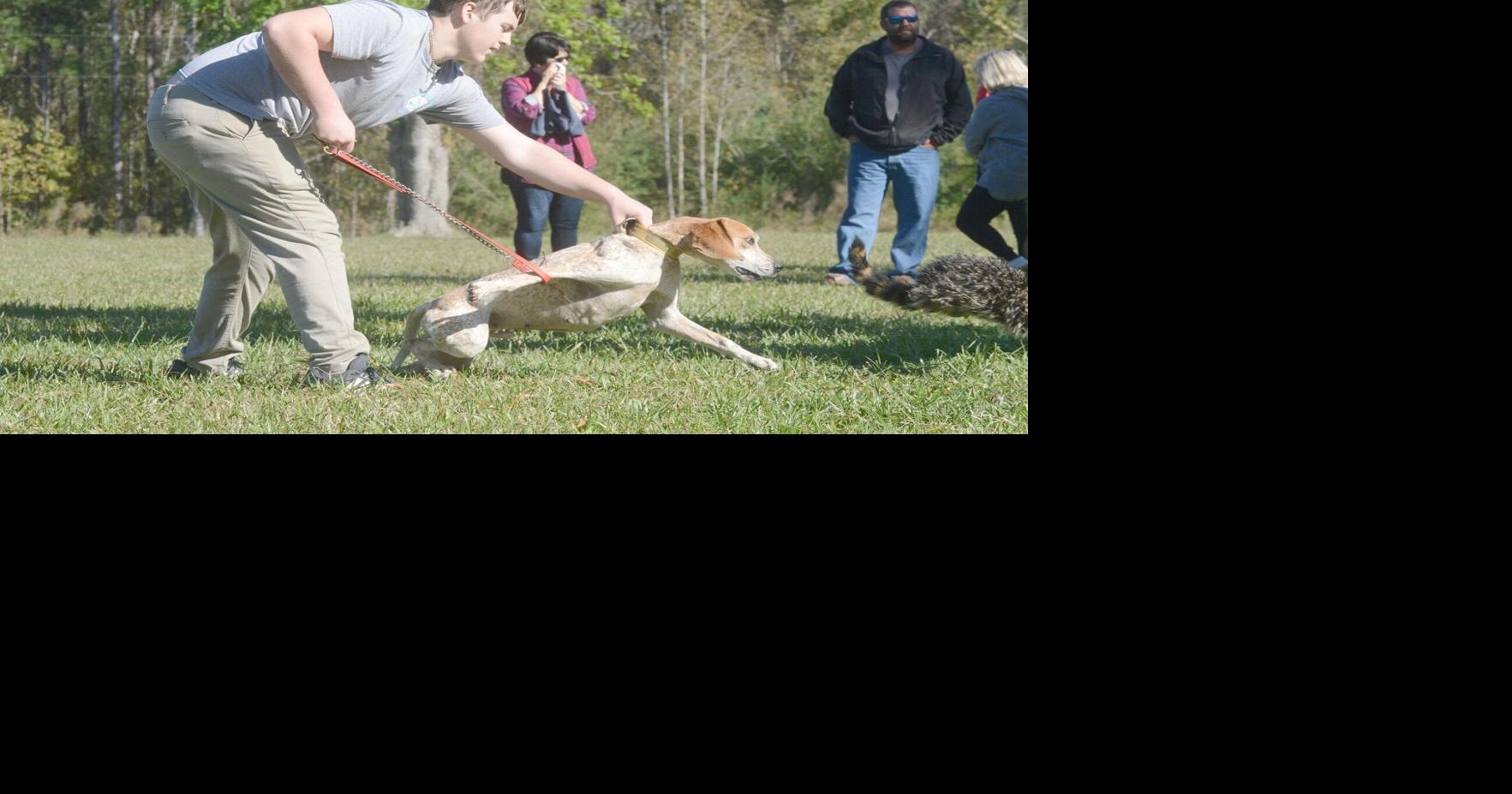 11th Annual Coon Hunt Contest | Lifestyle | nrcolumbus.com