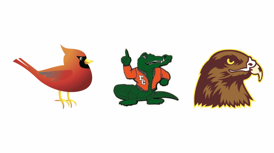 New mascots and colors on the ballot | Education | nrcolumbus.com