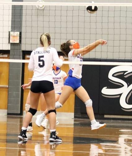 News Reporter SmugMug volleyball photo galleries (free to view ...
