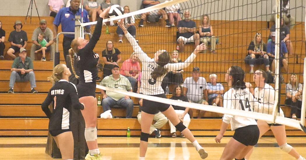 HS Sports report, Sept. 3–5: Gators, Wolfpack volleyball wins set up ...