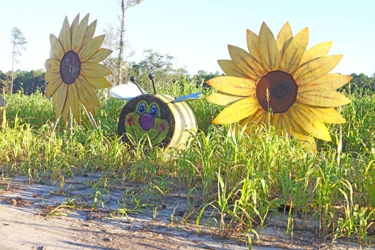 Boondocks Adventure Farm brings interactive outdoor fun to Nakina ...