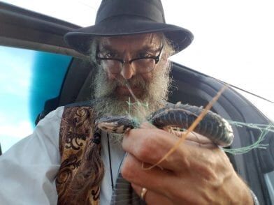 Column: Angry snakes, exploding firewood and duct tape | Archives ...