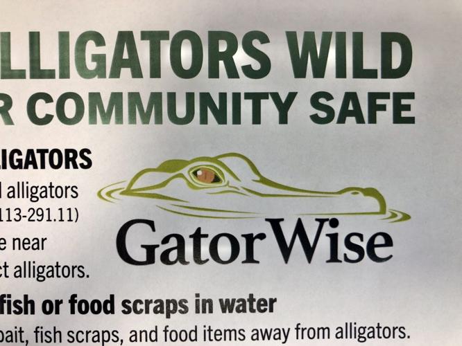 ‘We’ve got to educate people’ says grandfather of girl injured by gator ...