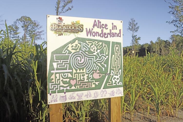 Boondocks Adventure Farm brings interactive outdoor fun to Nakina ...
