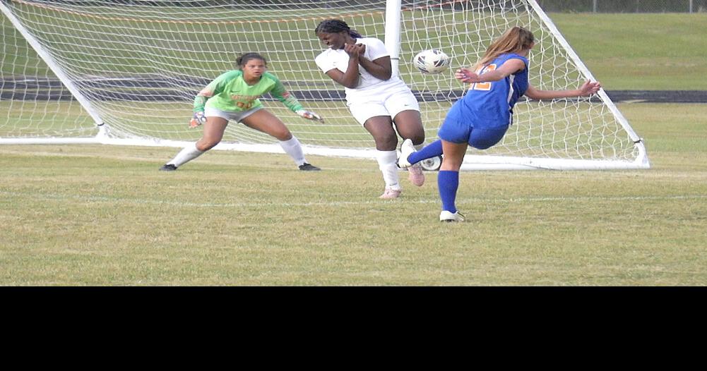 Wolfpack, Stallions earn wins on the pitch Friday | Sports | nrcolumbus.com