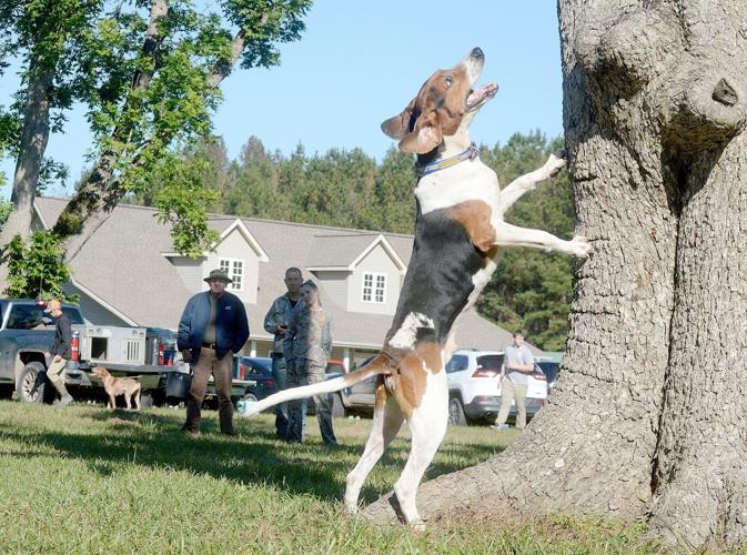 11th Annual Coon Hunt Contest | Lifestyle | nrcolumbus.com