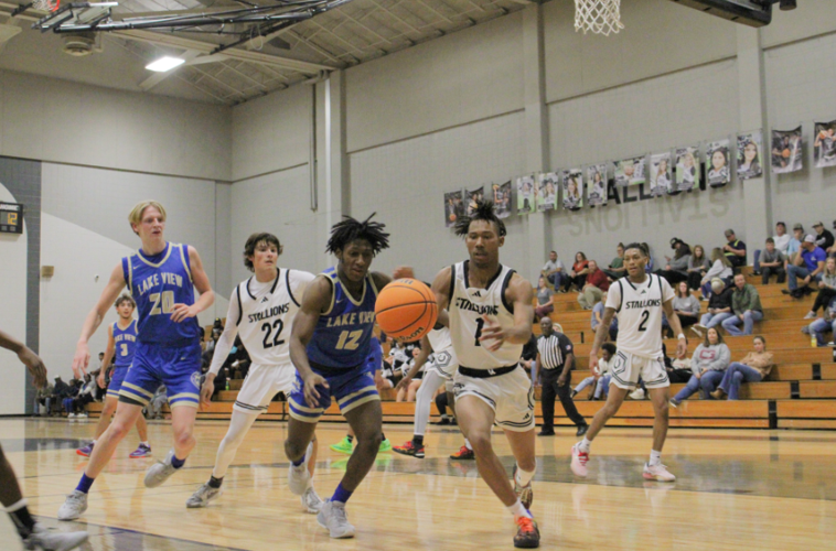 Stallions look to improve on early season start | Sports | nrcolumbus.com