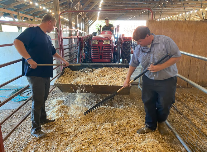 From 954: Young farmer says ‘there’s nothing better’ than what he does ...