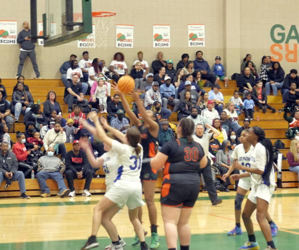 Gators and Wolfpack sweep opponents, Stallions split | Sports ...