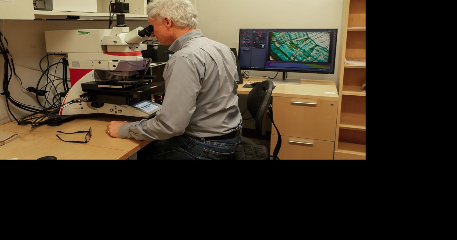 Biological science department and BioDiscovery Institute awarded USDA ...