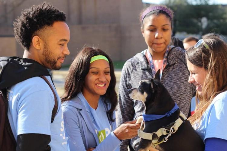 Students and community members unite to walk for eating disorder ...