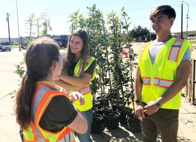 Denton's 20th Annual Community Tree Give-Away is keeping Denton ...