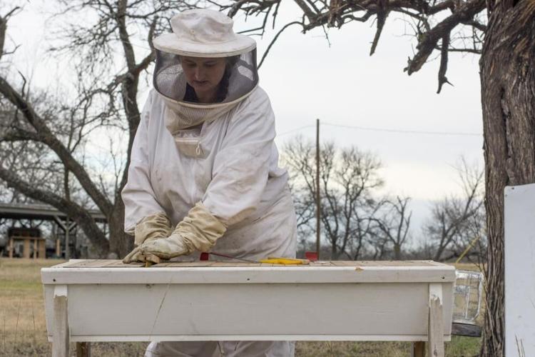 Soul Honey "bee-lieves" in the power of bees | Arts & Life | ntdaily.com