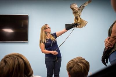 Without “feather” ado: Reading with Raptors debuts at the Linda McNatt ...