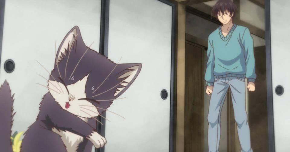 “My Roommate is a Cat” is the "purr-fect" anime to watch with your pet ...