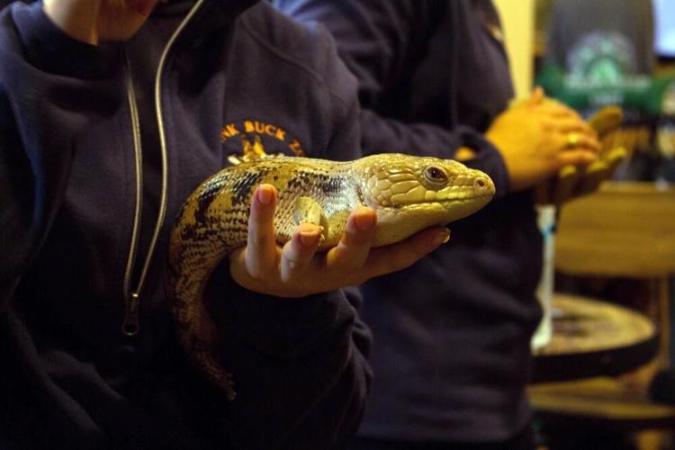 Discover Denton goes wild with Frank Buck Zoo | Arts & Life | ntdaily.com