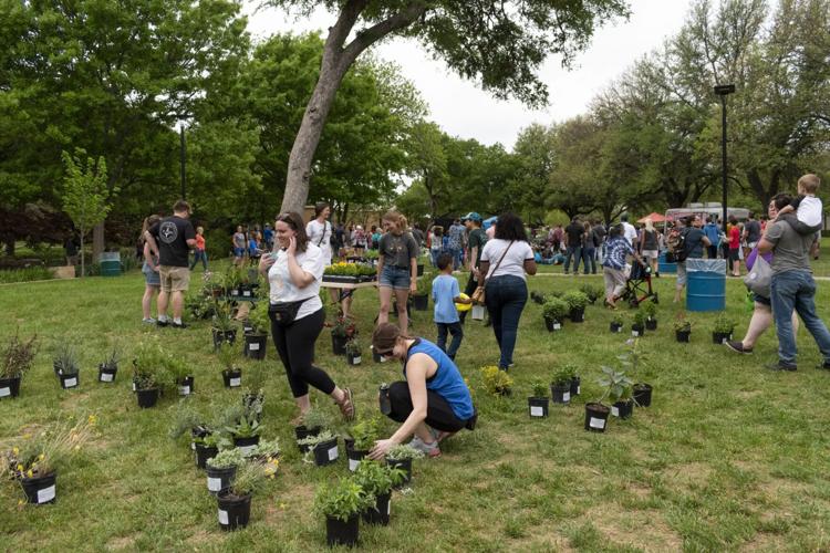 27th annual Redbud Festival aims to plant seeds of environmental ...