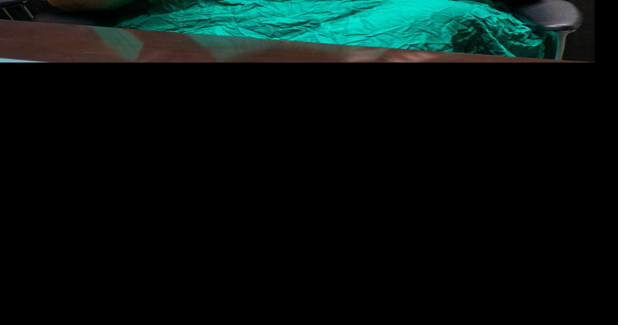 Dean of UNT Libraries Diane Bruxvoort announces her retirement for Spring 2025 | News | ntdaily.com