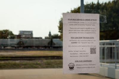 New DCTA city representative sees GoZone as supplemental to bus routes ...