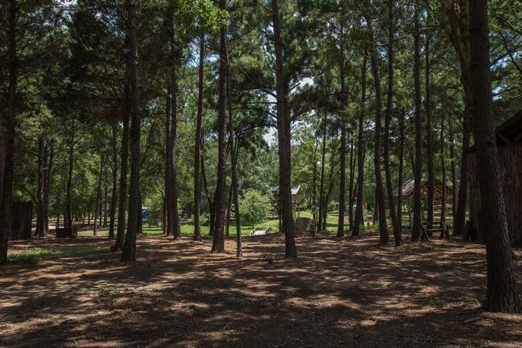 A remote forest outside Austin will host Sound on Sound this weekend ...