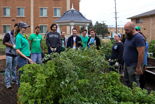 UNT community garden continues to grow deeper roots | Arts & Life ...