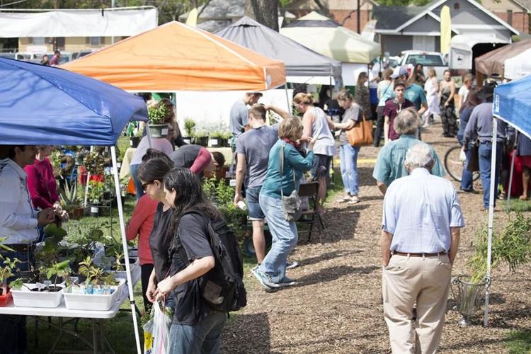 The Denton Community Market turns seven | Arts & Life | ntdaily.com