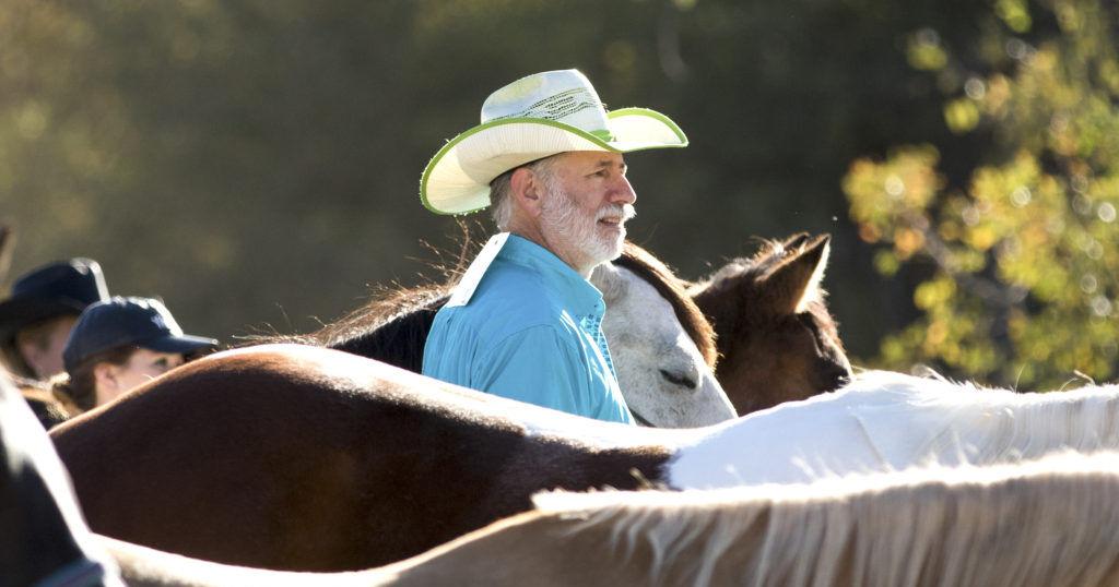Susar Farms founder faces disease, continues horseriding legacy | Arts ...