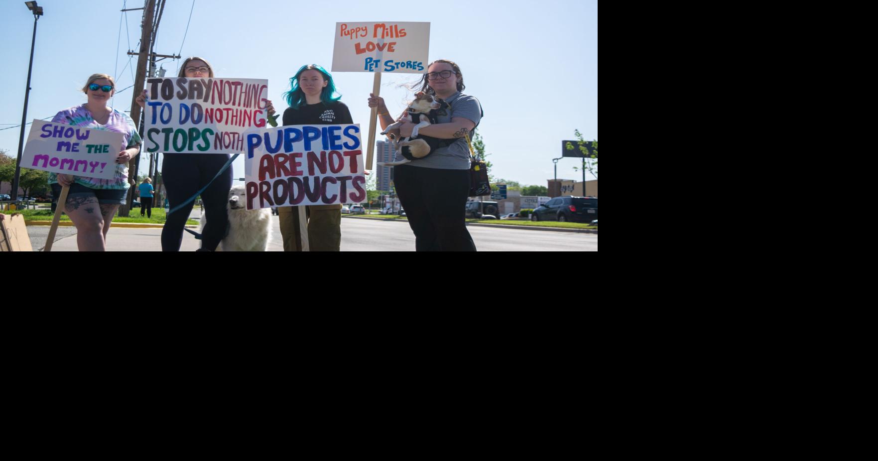 Protestors rally outside retail pet store for alleged animal ...