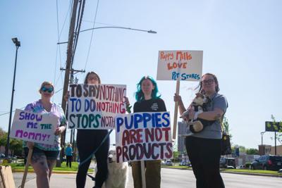 Protestors rally outside retail pet store for alleged animal ...