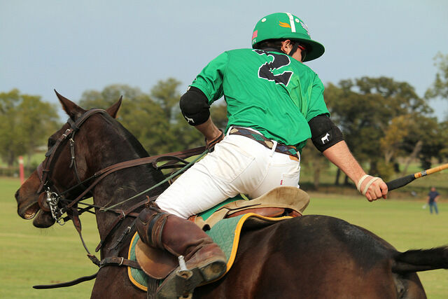 UNT polo club looks for success in first year of competition | Sports ...